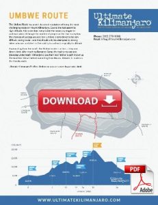 Umbwe Route | Ultimate Kilimanjaro