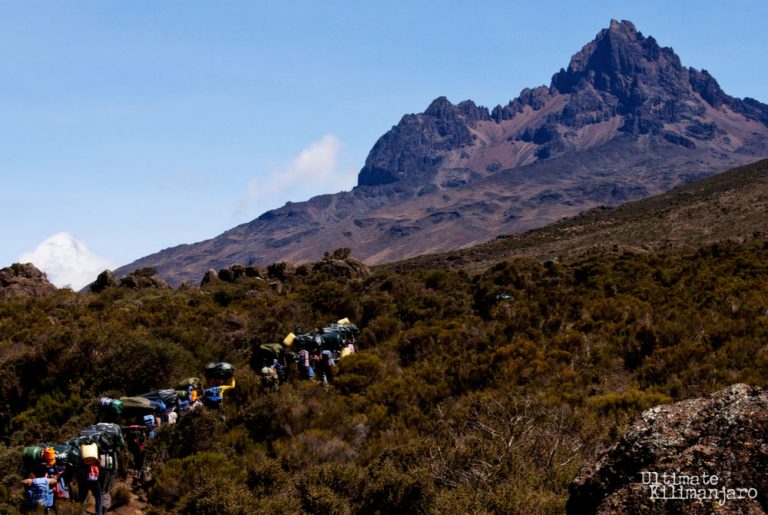 Rongai Route | Ultimate Kilimanjaro