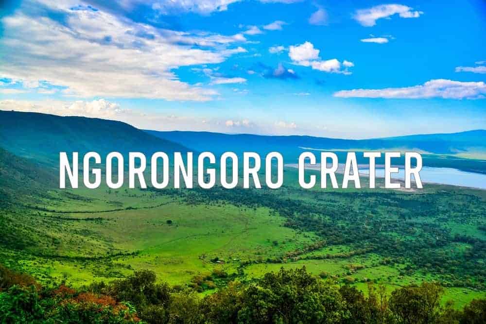 Ngorongoro Crater: A Unique Safari Experience | Ultimate Kilimanjaro