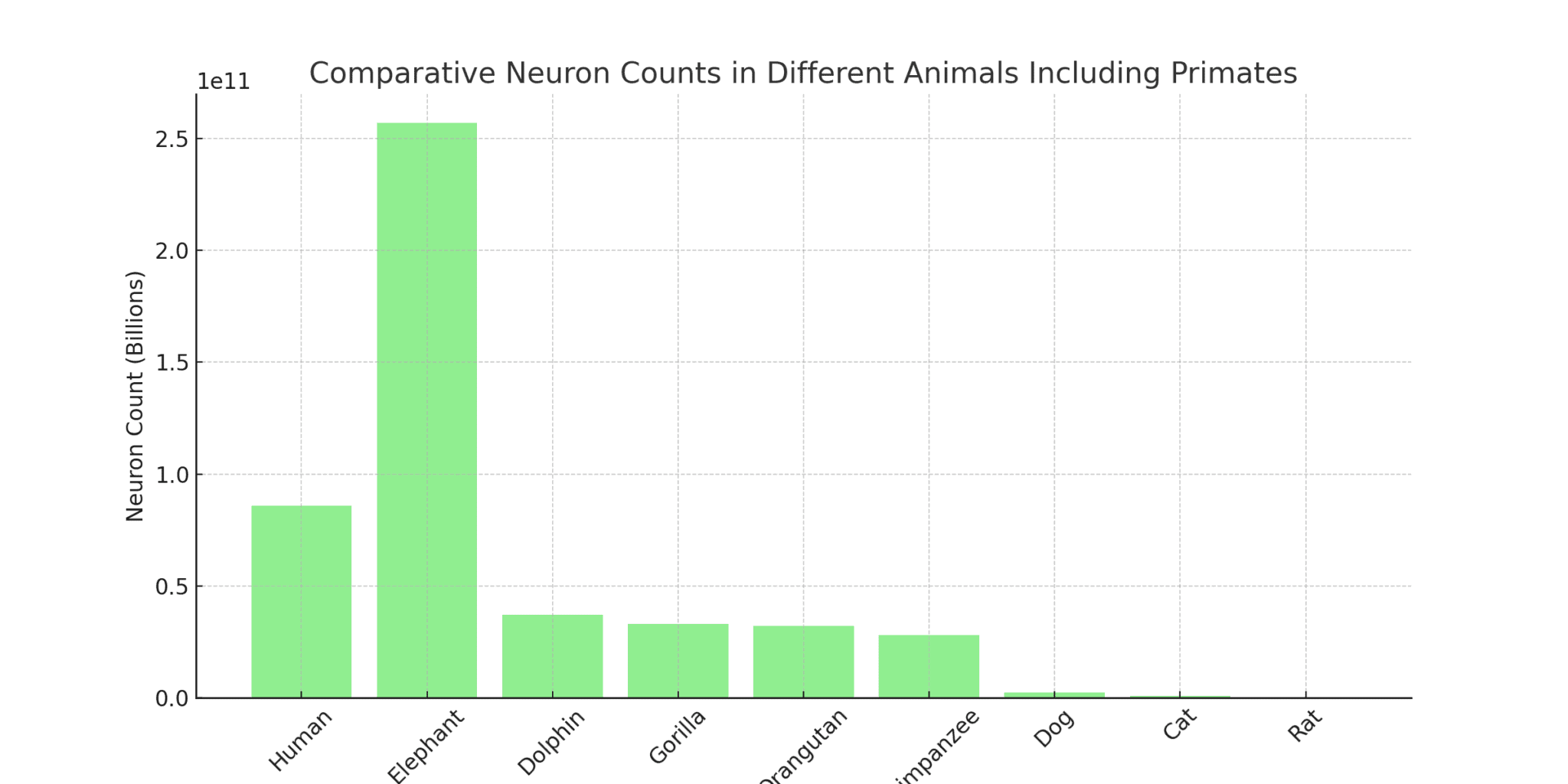 The 15 Smartest Animals in the World | Ultimate Kilimanjaro