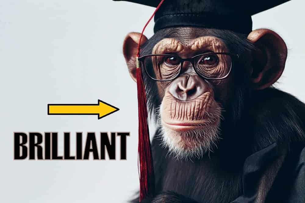 The 15 Smartest Animals in the World | Ultimate Kilimanjaro