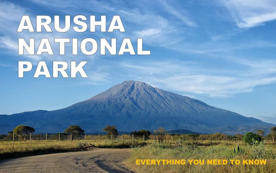 Arusha National Park: Everything You Need to Know | Ultimate Kilimanjaro