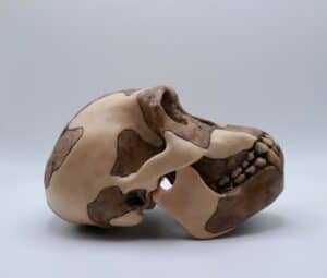 The Great Rift Valley: Everything You Need to Know | Ultimate Kilimanjaro