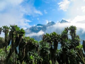 The Great Rift Valley: Everything You Need to Know | Ultimate Kilimanjaro