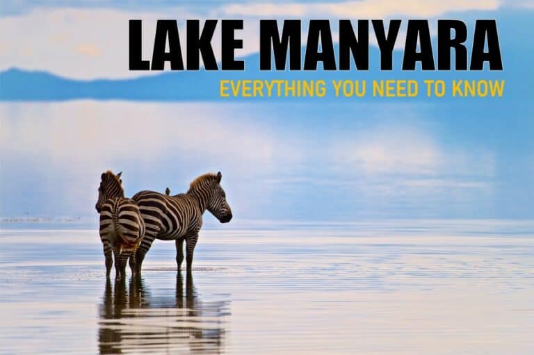 Lake Manyara National Park: Everything You Need to Know | Ultimate ...