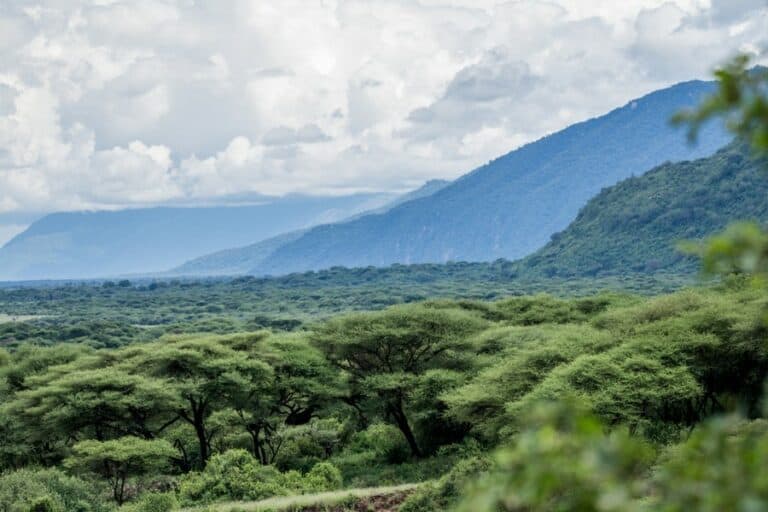 Lake Manyara National Park: Everything You Need to Know | Ultimate ...