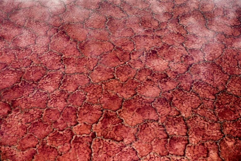 Lake Natron - the Deadly Lake That Turns Animals into Stone | Ultimate ...