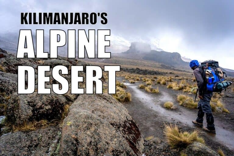 The Alpine Desert Zone of Kilimanjaro - What to Expect | Ultimate ...