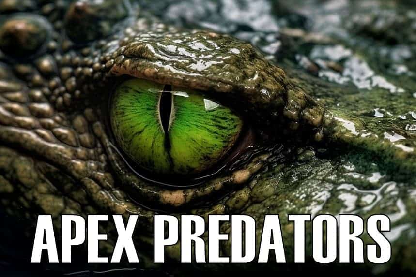 Apex Predators: What They Are, Why They Exist & Species List | Ultimate ...