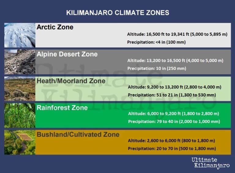 The Climate Zones of Mount Kilimanjaro | Ultimate Kilimanjaro