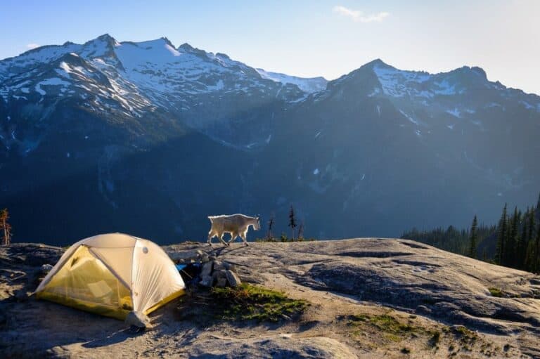 The Cascade Mountains: Everything You Need to Know | Ultimate Kilimanjaro