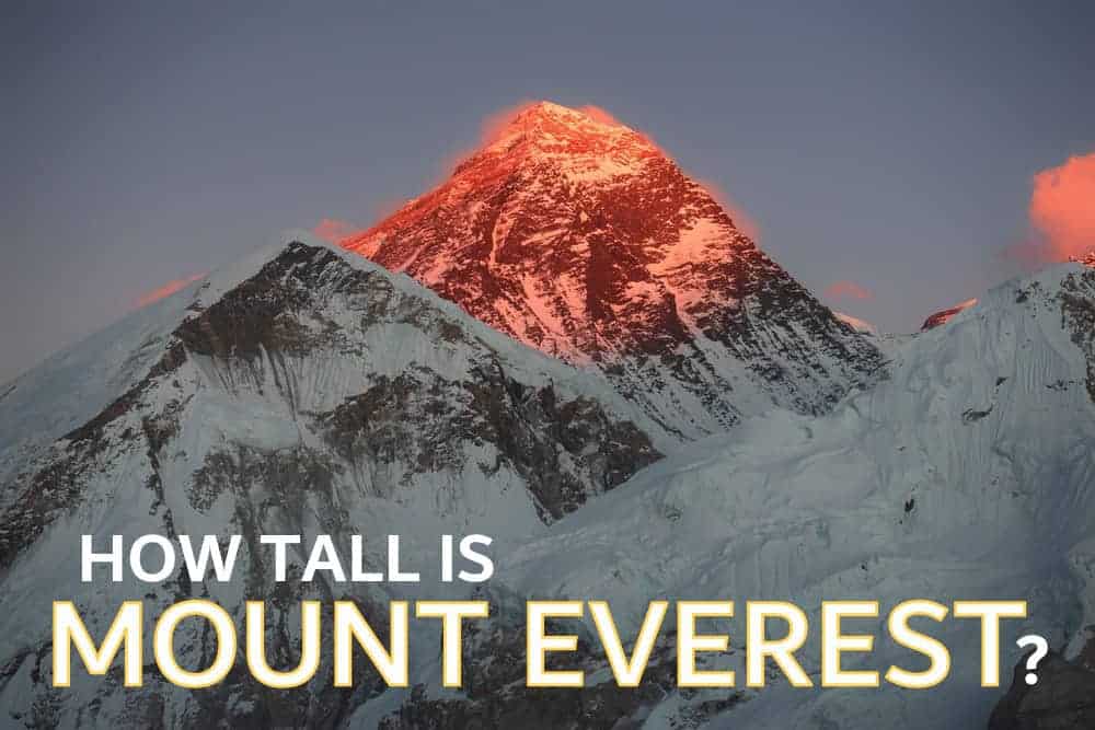 How Tall Is Mount Everest (in Feet, Meters & Miles)? | Ultimate Kilimanjaro