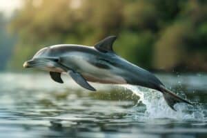 The 25 Most Interesting Extinct Animals (With Photos) | Ultimate ...