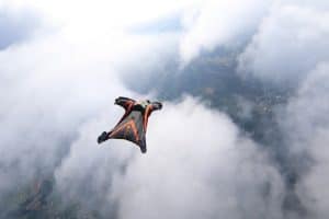 The 15 Fastest Birds in the Sky (Flight Speed) | Ultimate Kilimanjaro