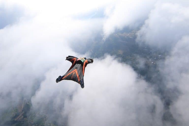 The 15 Fastest Birds in the Sky (Flight Speed) | Ultimate Kilimanjaro