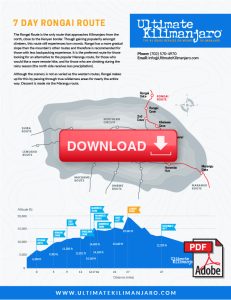 Rongai Route | Ultimate Kilimanjaro