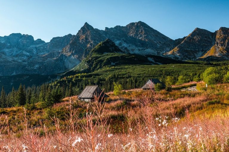 Carpathian Mountains: Everything You Need to Know | Ultimate Kilimanjaro